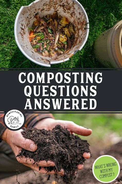 Home Composting Troubleshooting Faqs Artofit