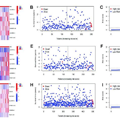 Evaluation Of The Prognostic Signature Of Cuprotosis Related Lncrnas Download Scientific