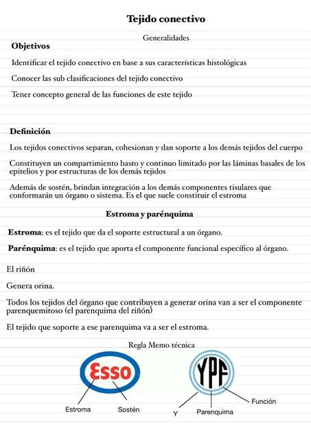 Tejido Conectivo Generalidades Carolina Udocz