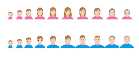 아기에서 노인에 이르기까지 사람의 삶을 변화시키는 남성과 여성의 얼굴 남자에 대한 스톡 벡터 아트 및 기타 이미지 남자