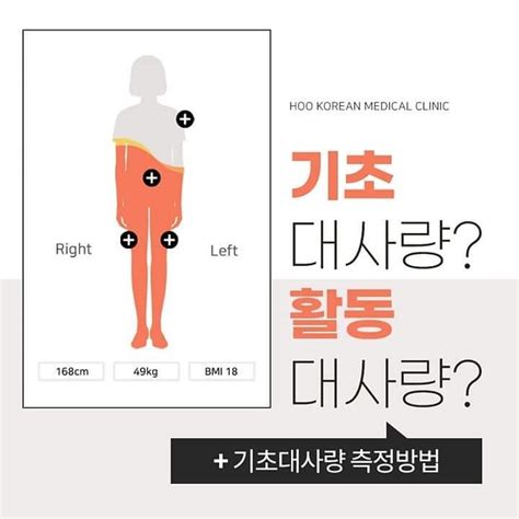 선운한의원 다이어트 할 때 알아야 할 기초대사량과 활동대사량☺ 다이어트 다이어트한의원