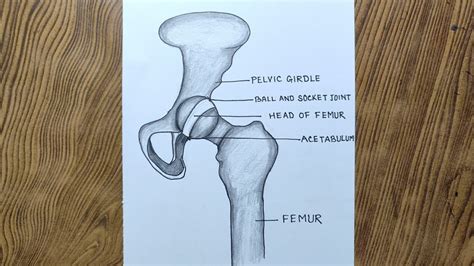 Drawing Of Joints