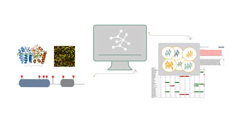 Bioinformatics Analysis Metisox Ltd