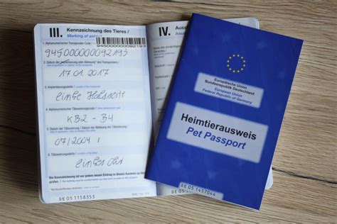 Mit Dem Heimtier Unterwegs Tfa Wissen