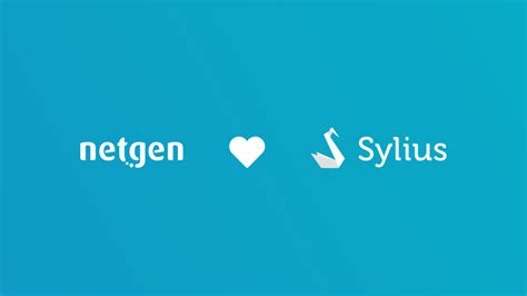 netgen partners with sylius ecommerce netgen