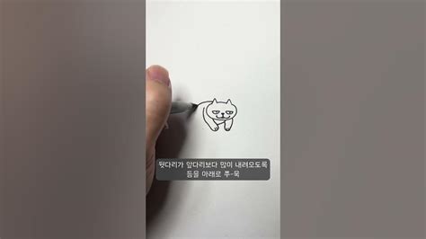 점프하는 고양이를 그려보자👨‍🎨😻 그림 그림그리기 드로잉 일러스트 그림공부 낙서 캐릭터 고양이그램 귀여운고양이 고양이 냐옹이 고양이그림 스케치