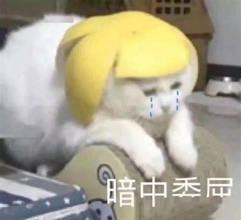 男生被摸胸是个啥感觉？哈哈哈笑死我了！ 搜狐大视野 搜狐新闻