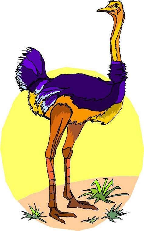 Free Ostrich Cliparts Download Free Ostrich Cliparts Png Images Free