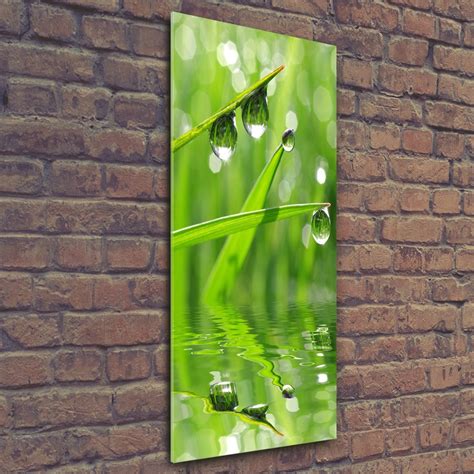 Stéblo trávy Moderní akrylový fotoobraz vertikální WallMuralia cz