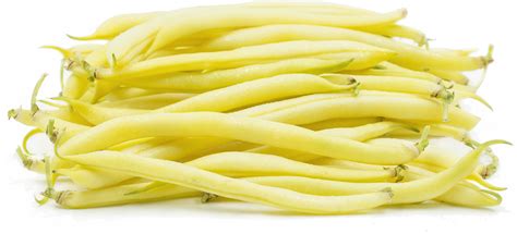 Yellow Wax Beans Information And Facts