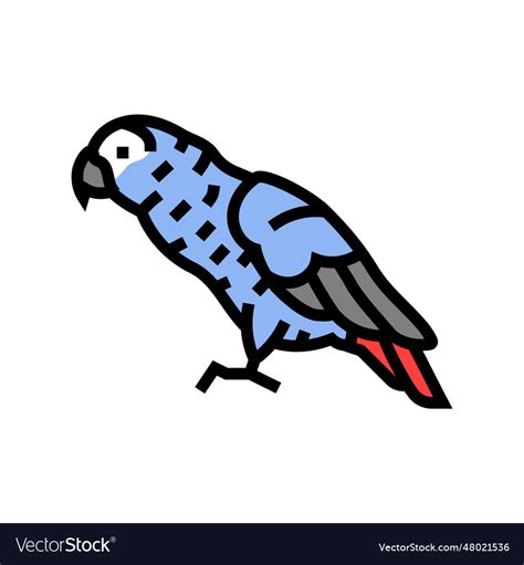 African Grey Parrot Bird Color Icon Royalty Free Vector