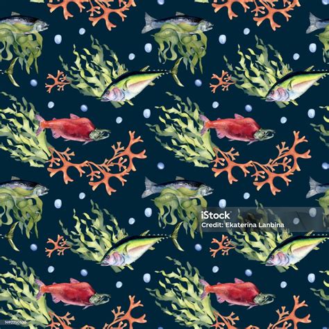 다양한 야생 바다 물고기 원활한 패턴 수채화 그림은 검은 색으로 분리되어 있습니다 해초 참치 연어 코호 바다 식물이 손으로 그렸습니다 섬유 포장 종이 포장 배너를 위한