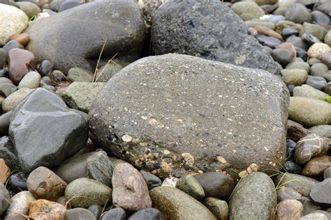 Metaconglomerate River Rock Used As Decorative Stone At Th… Flickr