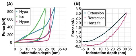 Figure A Stiffness Comparison For Each Component Of Spring Models Download Scientific Diagram