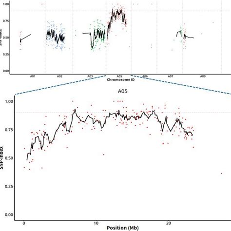 snp index plot of chinese cabbage chromosomes download scientific diagram