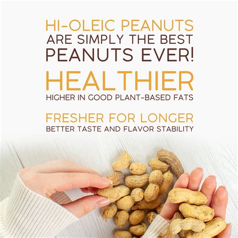 Premium Jumbo Dry Roasted Peanuts Unsalted 4 Lb Pasokin