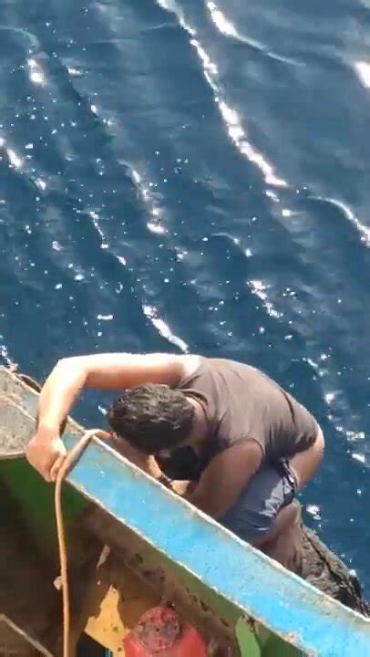 Crew Defecate On The Ship Thisvid Com