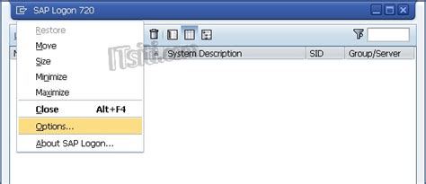 Adjust Sap Font And Size Settings