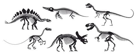 Isolated Dinosaur Skeleton Fossil Vector Wildlife Species