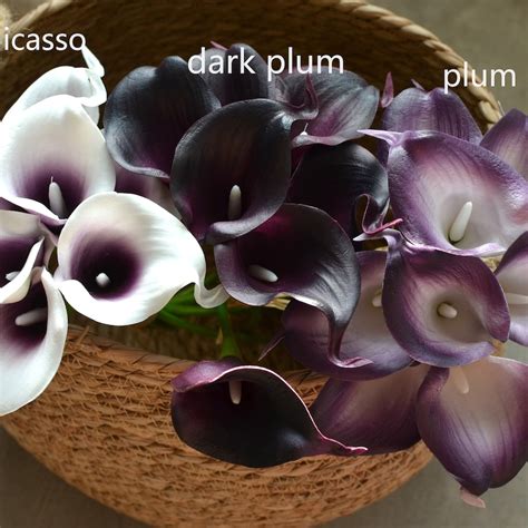 Picasso Calla Lily Etsy