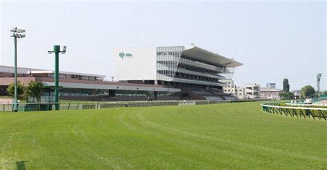 【勝負レース🚀🔥】🌈【中京11r】 豊明ステークス（15時35分） ｜さやだま