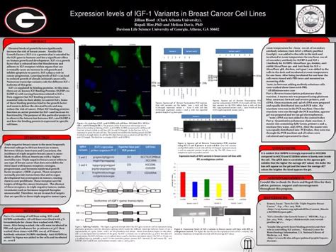 Ppt Expression Levels Of Igf 1 Variants In Breast Cancer Cell Lines