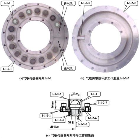 An Olfactory Simulation Instrument And An On Site Analysis Method For The Gas Smell Taste