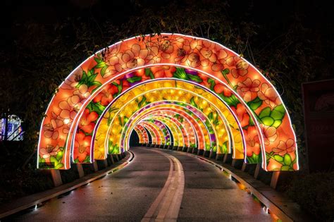 乐清2024新春灯展喊你来“花式”跨年啦！