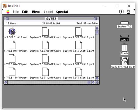 Setting Up Basilisk Ii For Windows E Maculation Wiki