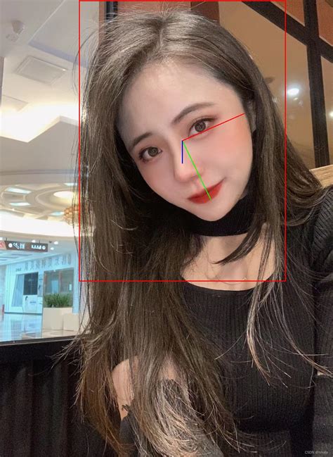 用opencv的dnn模块做yolov5目标检测opencv Yolov5 Csdn博客