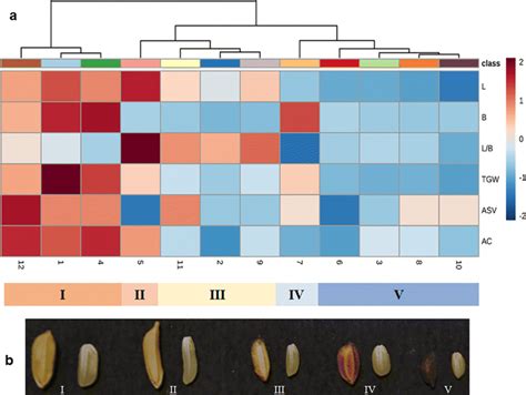 a heat map and hierarchical clustering analysis generated from