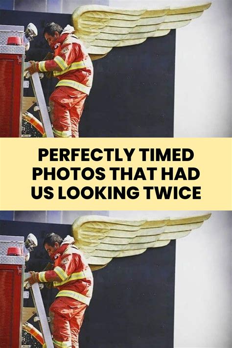 Perfectly Timed Photos That Had Us Looking Twice Artofit