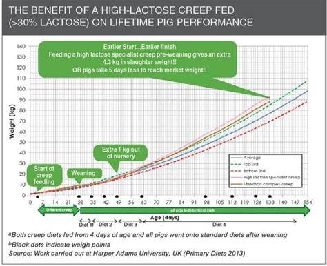 Three ways to implement piglet creep feeding