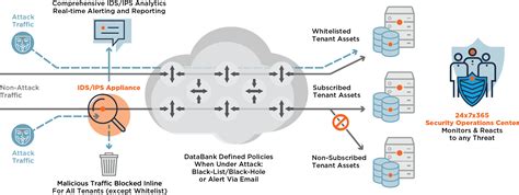 Managed Idsips Services For Proactive Threat Detection Databank