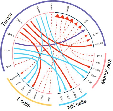 Cellphonedb Plot