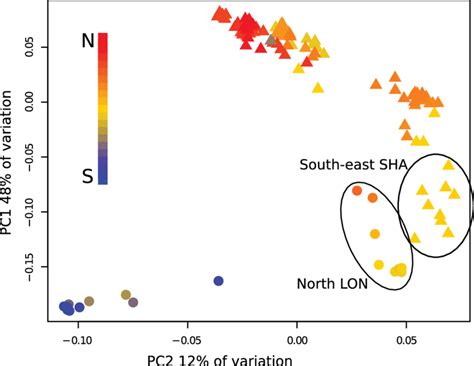 Pca Of Lon And Sha Accessions Based On Gbs Genetic Matrix Circles Lon