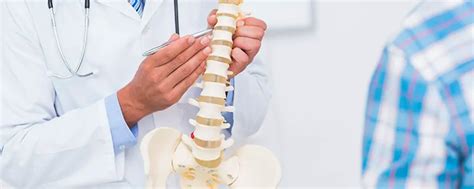 The Four Spinal Curves That You Need For Optimal Health Kings Park