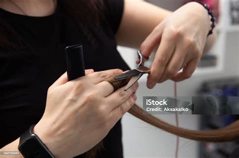 Penata Rambut Profesional Memegang Sisir Dan Gunting Termal Panas
