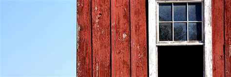 Open Source Windows Is “definitely Possible” But Dont Hold Your