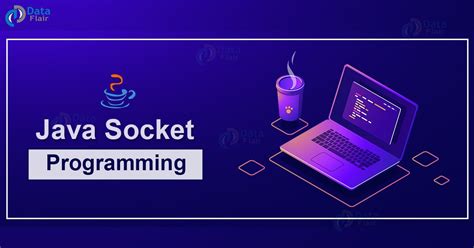 Socket Programming In Java Established Java Socket Connection Dataflair