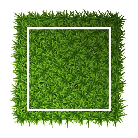 Premium Vector Green Grass Square Ground Cover Plants Background