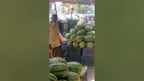 পানির দামে তরমুজ বিক্রি হচ্ছে। কেউ নেয় না।ভাবছি ফেলে দিবো। Youtube