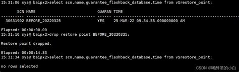 Oracle数据库闪回fra磁盘组 Csdn博客