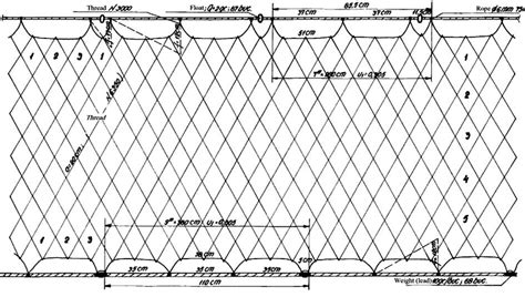 Turbot Gillnet Hanging Details Download Scientific Diagram