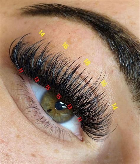 Whispy Look Lashes Fake Eyelashes Eyelash Extensions Perfect Eyelashes
