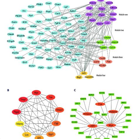 Protein Protein Interaction PPI Network And Module Analysis Among