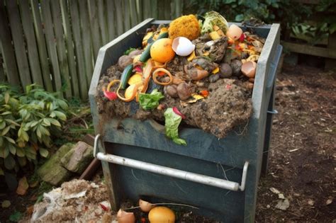 Premium Ai Image Compost Bin Overflowing With Fresh And Nutrientrich