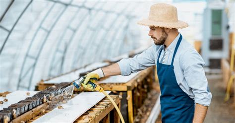 잘 생긴 노동자는 물총으로 선반을 씻고 농장의 온실에서 달팽이를 돌보고 있습니다 먹기위한 달팽이 양식의 개념 사진 Unsplash의 우크라이나 이미지