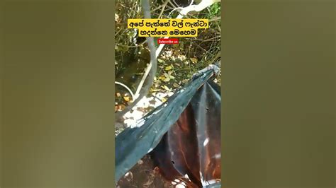 බලන්න මීට කලින් දැකල තියනවද කියල 🤪 Youtube