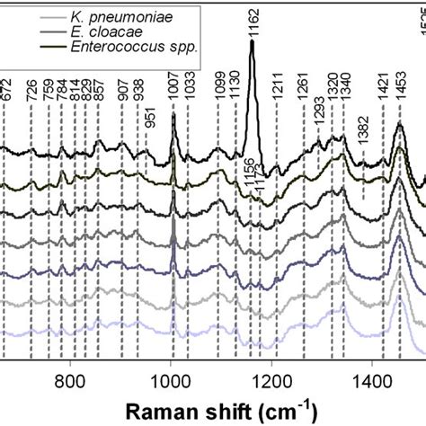 Raman Spectra Of E Coli Grown In Four Different Types Of Culture